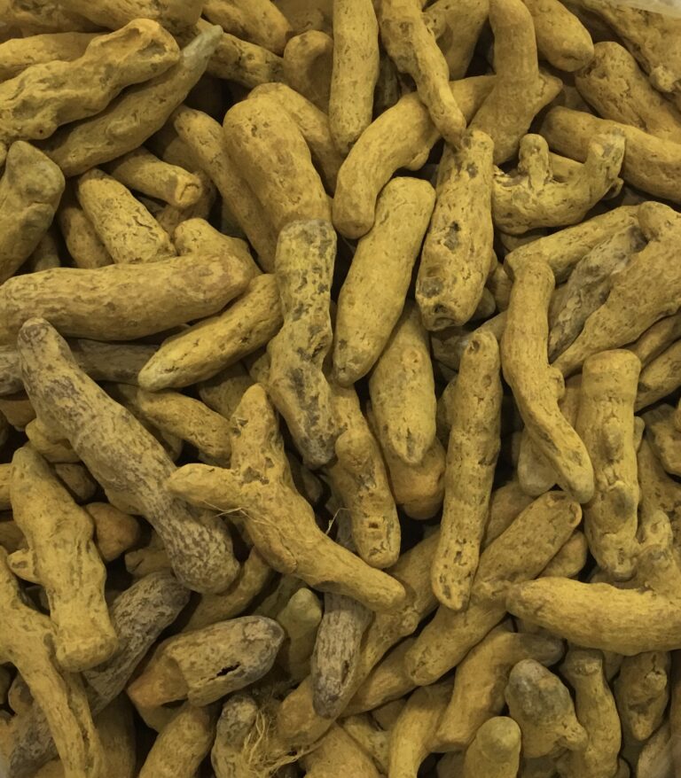 TURMERIC ROOT - Troyer's Spices